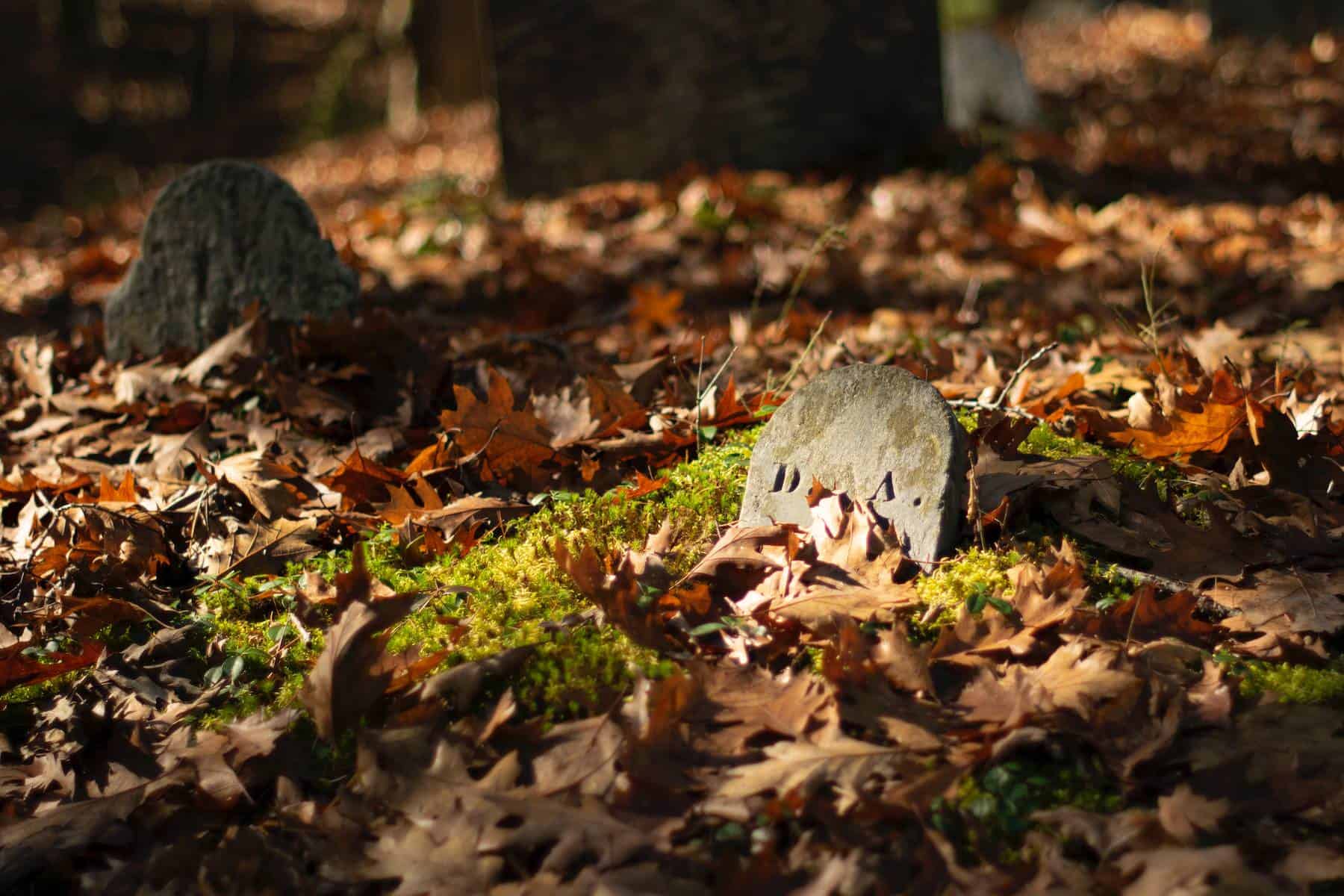 Grave Marker Options For Green Burials