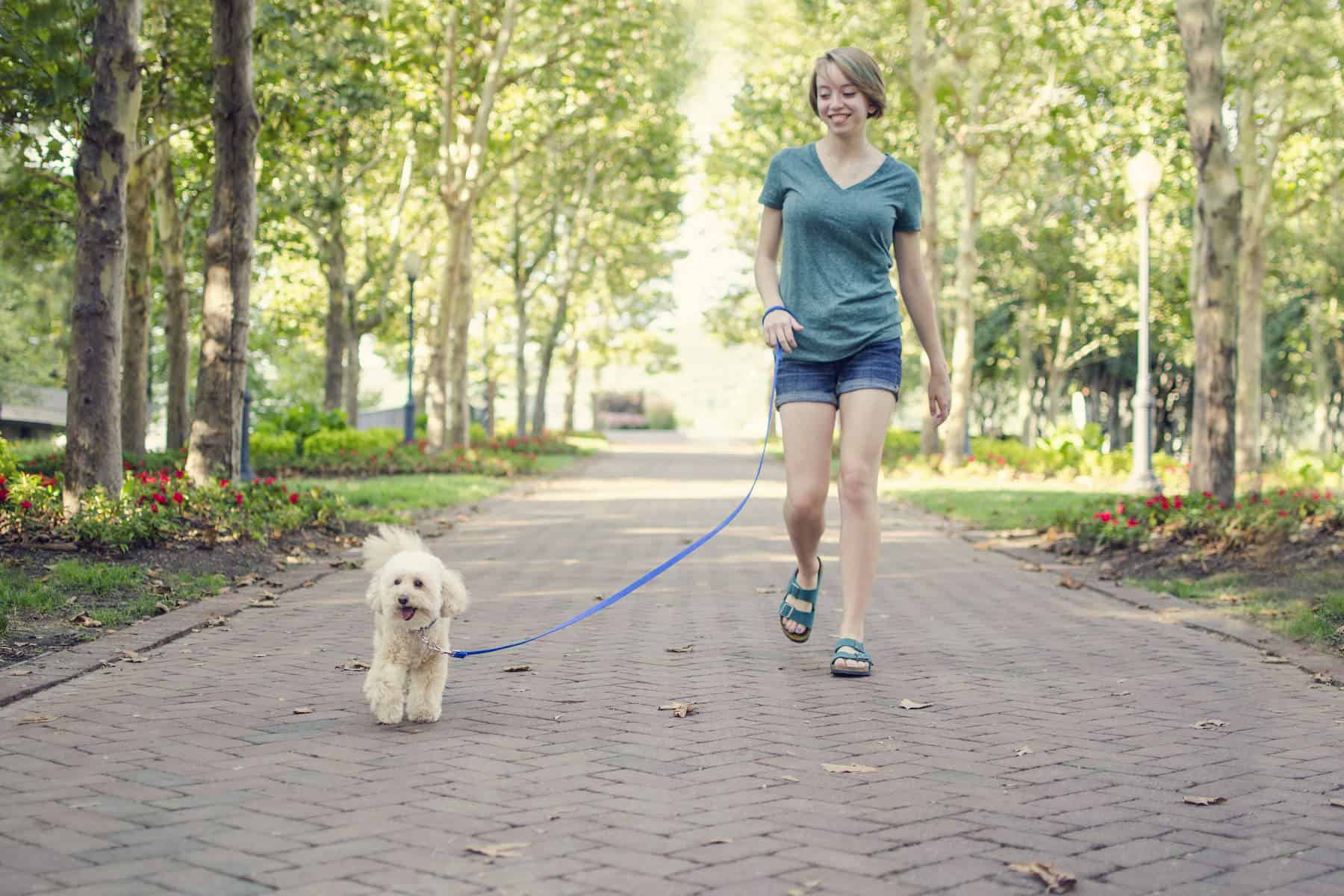 What To Do With A Loved One’s Pets After They Pass