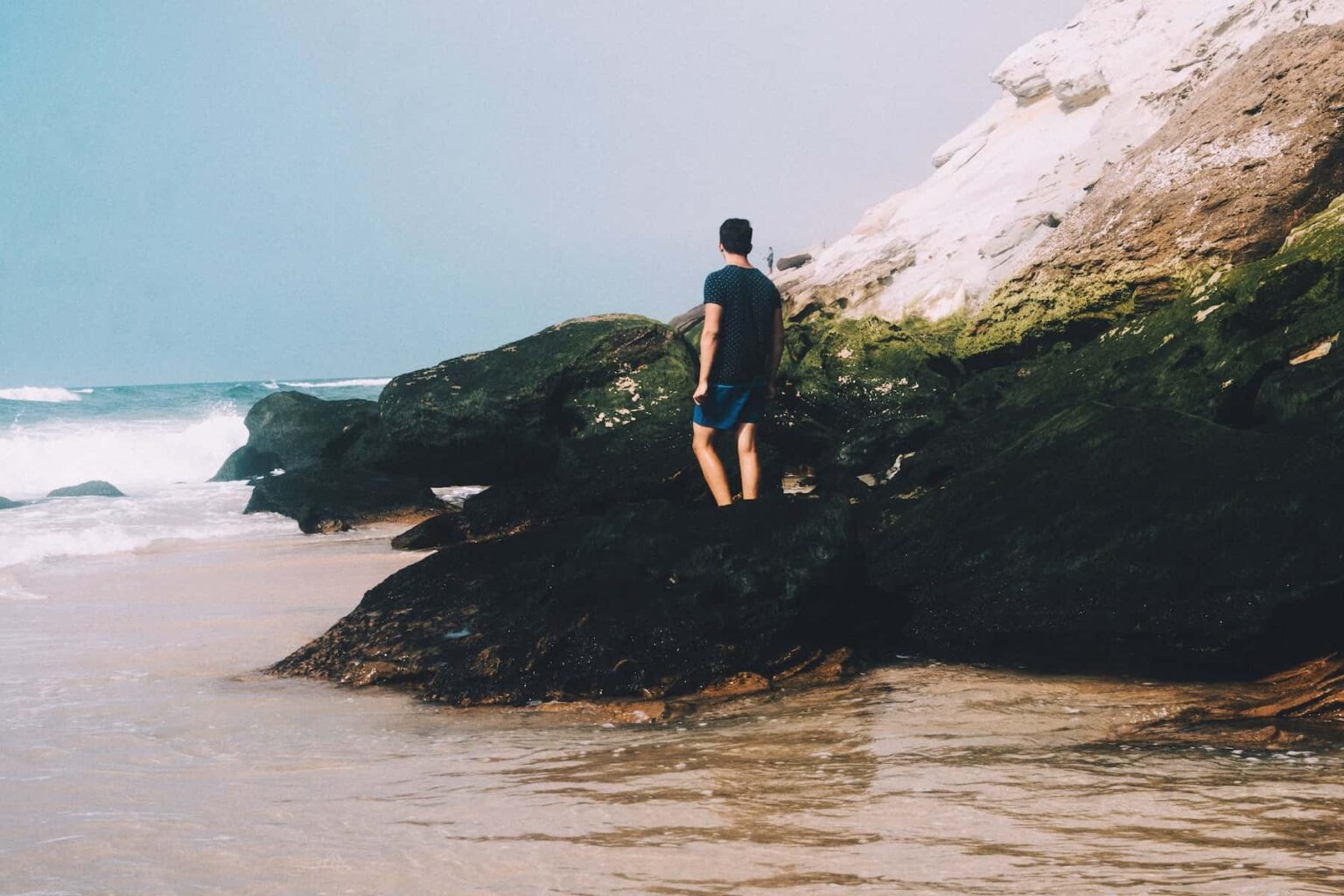 What Is Aquamation? Everything You Need To Know