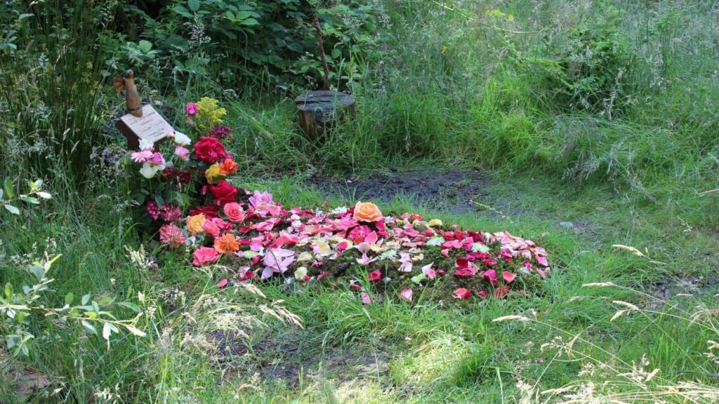 Body Disposition, Preservation And Out Of This World End Of Life Options