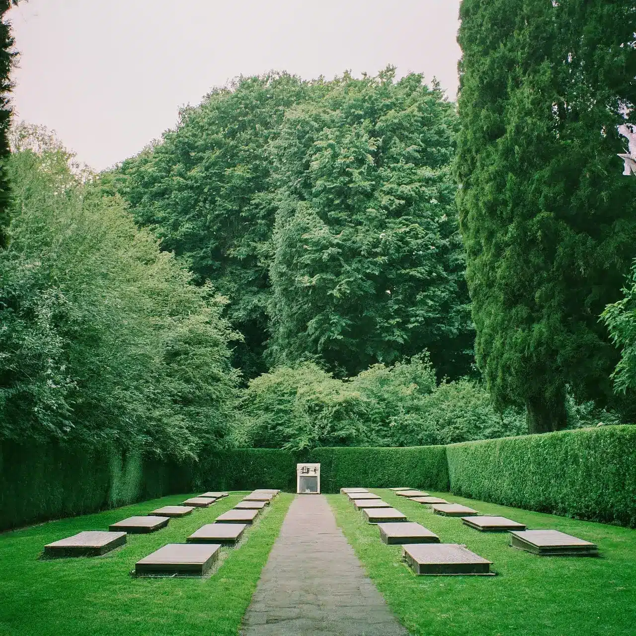 8 Tips For Planning An Eco-Friendly Cremation