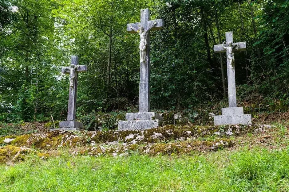 8 Ways Natural Burial Supports Environmental Sustainability