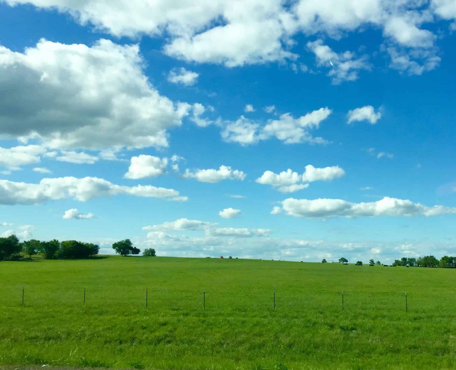 The Future Of Green Burial